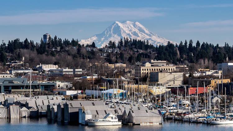 Moving to Olympia, WA: 2025 Relocation Guide | moveBuddha
