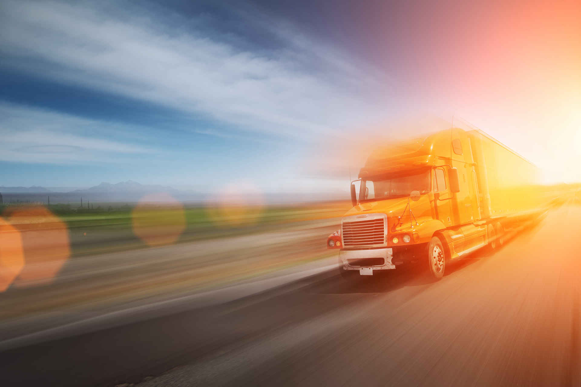 How Do Professional Moving Companies Work MoveBuddha How Do Professional Moving Companies Work MoveBuddha