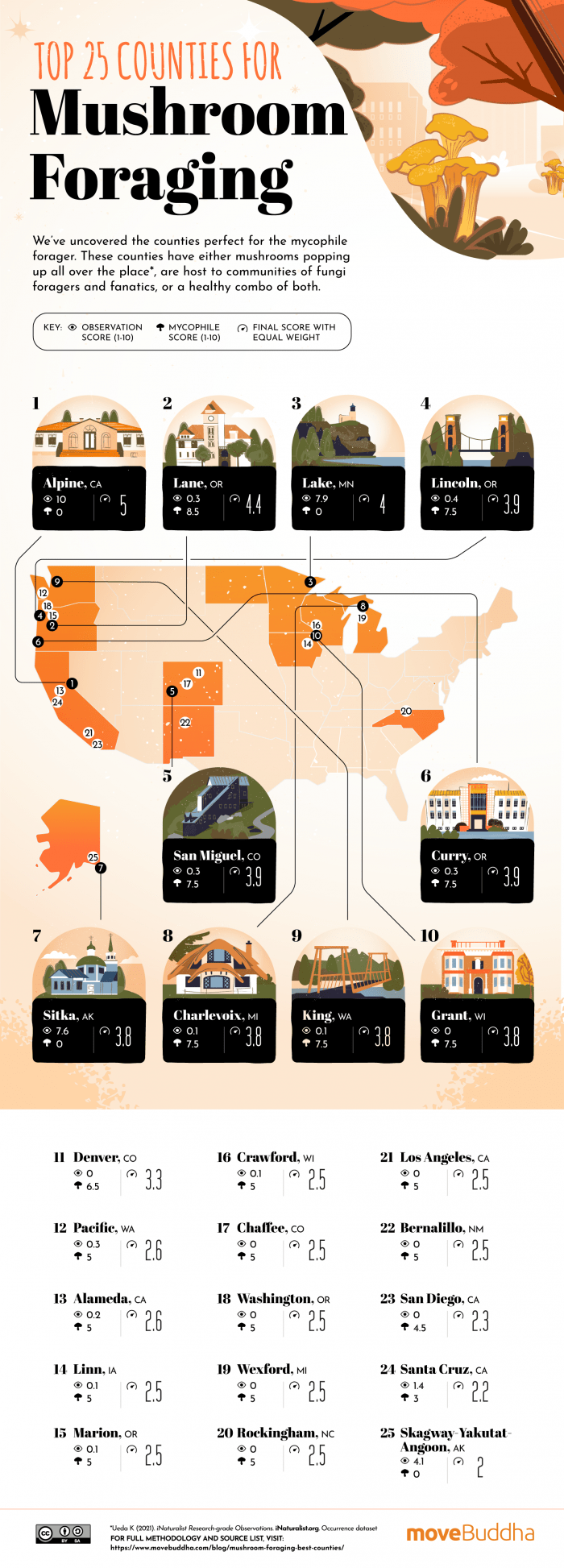 The Best Mushroom Foraging Counties in the U.S. | moveBuddha