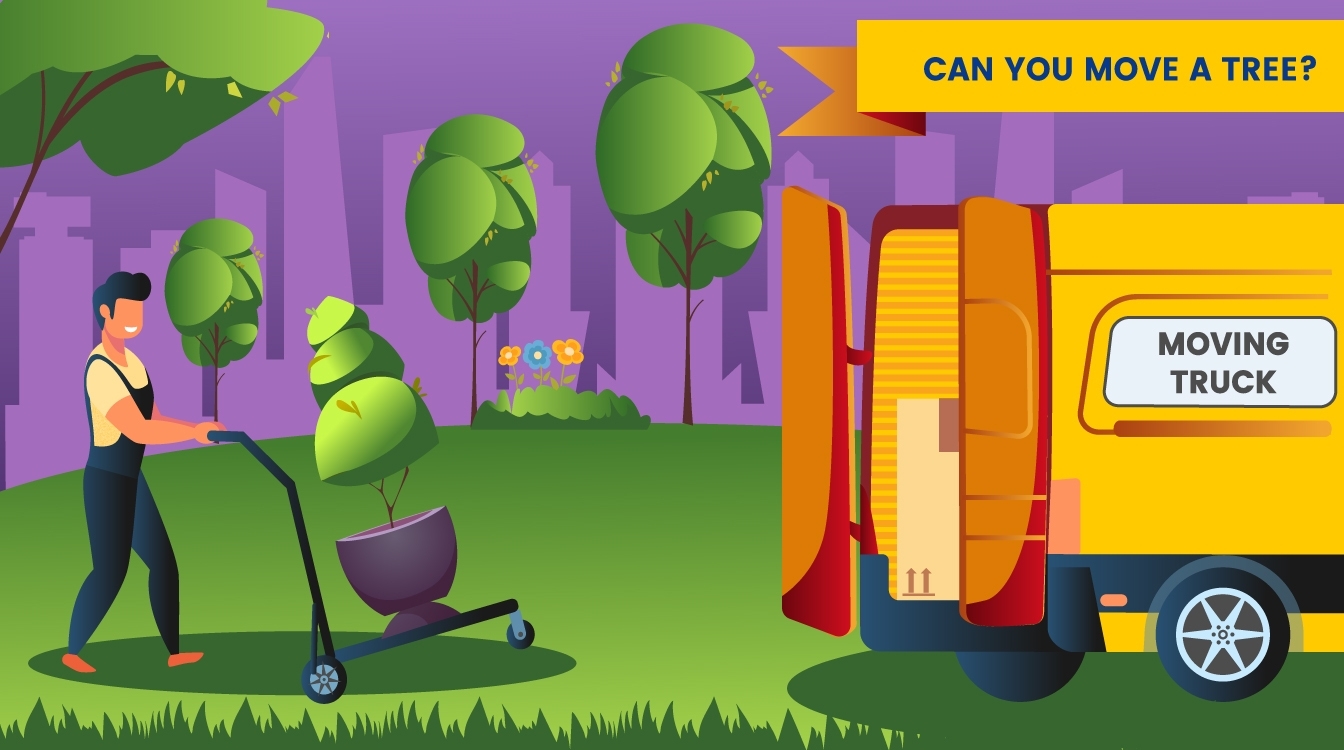 Will Movers Move A Tree? | moveBuddha