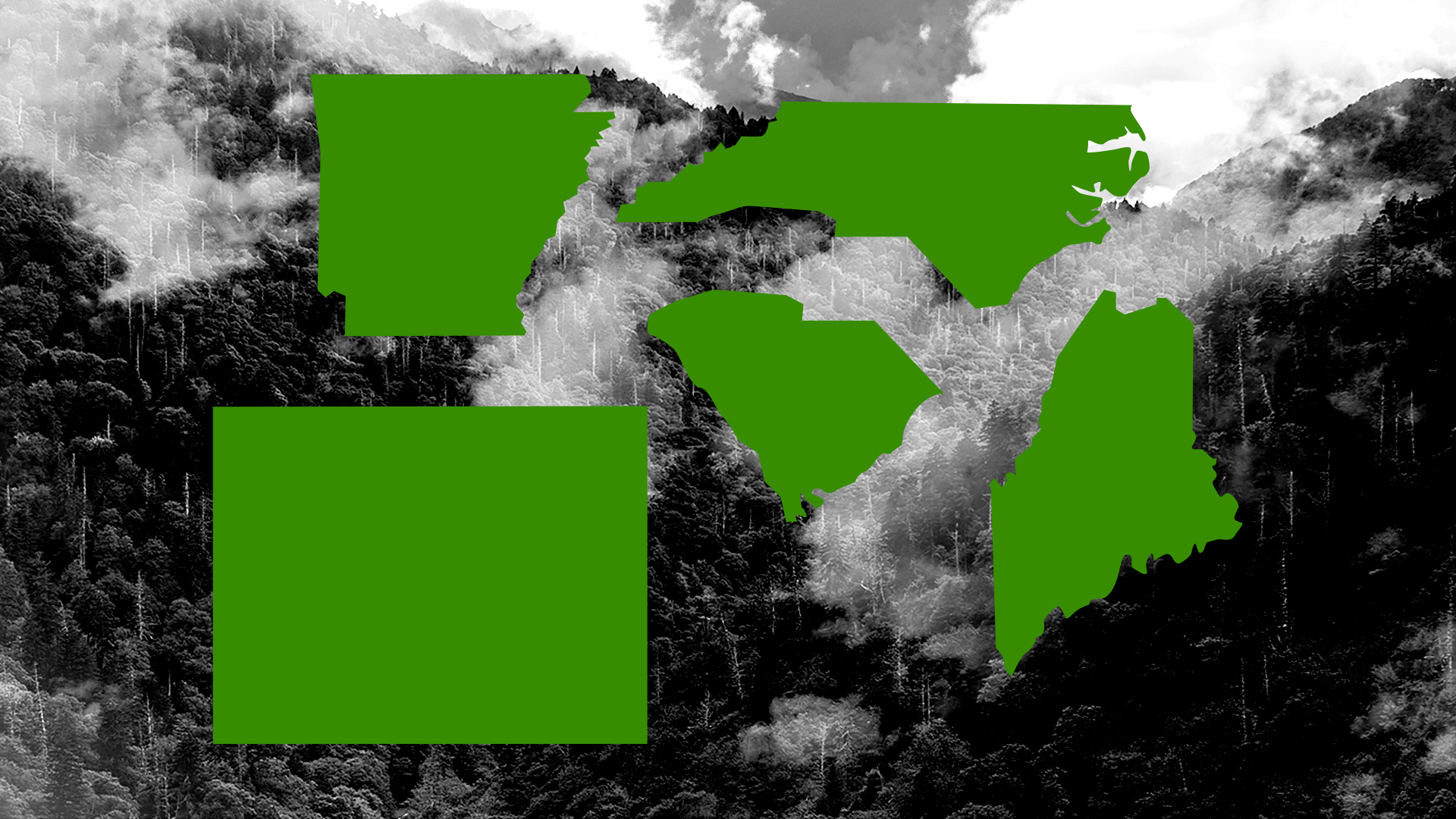 Moving Trends in 2024: Where are Americans moving to?