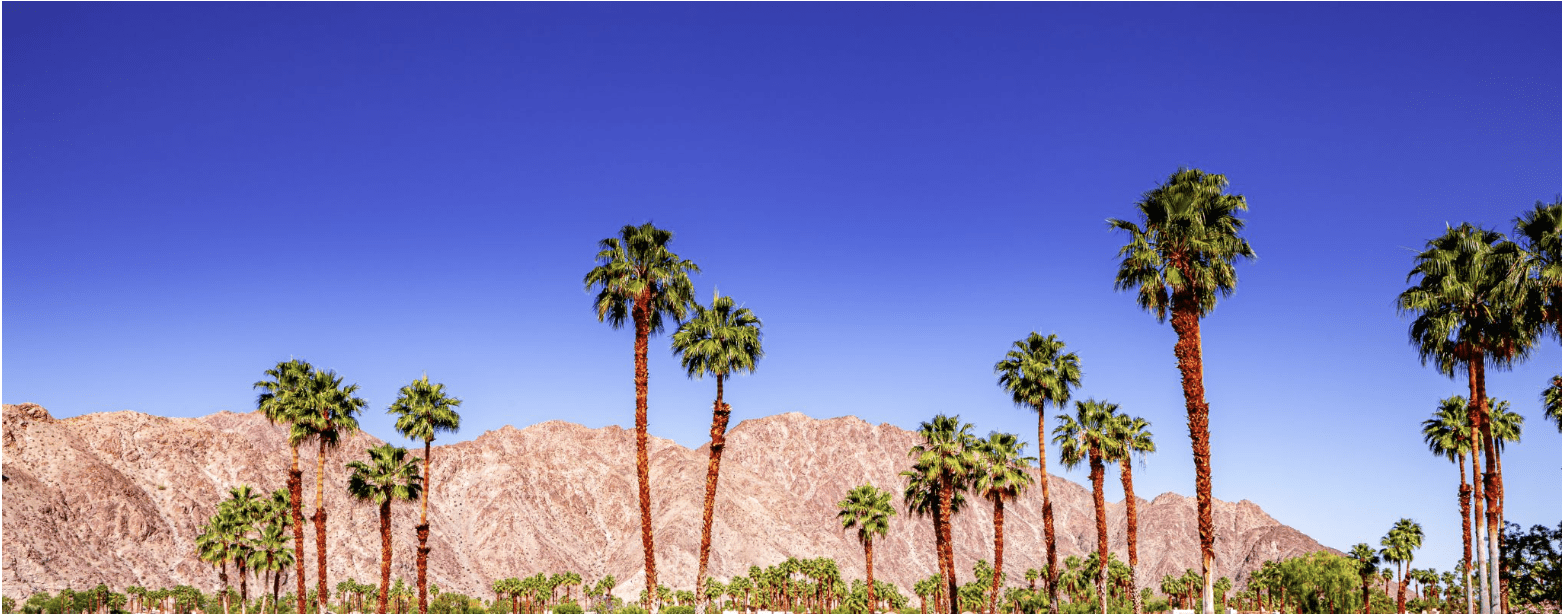 California Exodus 2022: New Migration Report Reveals How Many are Leaving