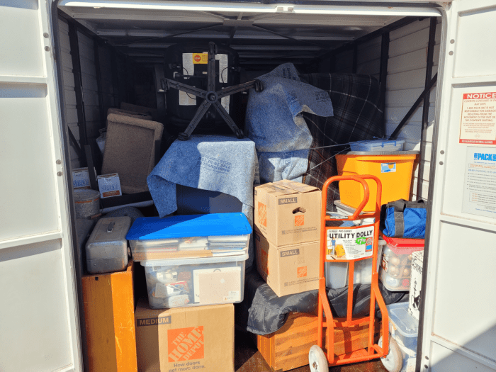 1-800-PACK-RAT 2023 Full Review | moveBuddha